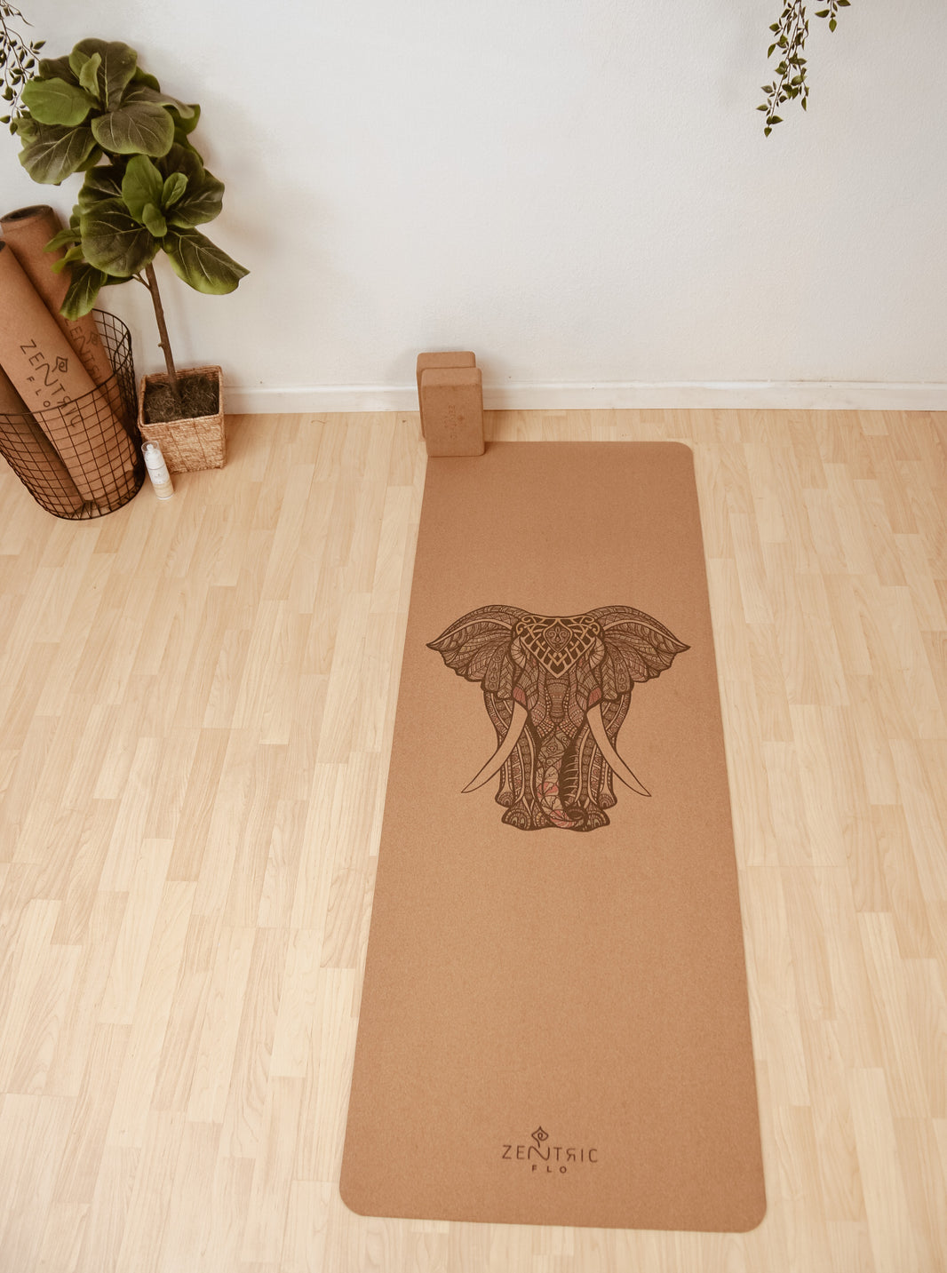 Zentric Flo Cork Yoga Mats